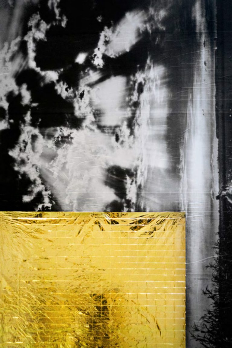 Louis Jammes expose à la galerie Rabouan Moussion - Picto