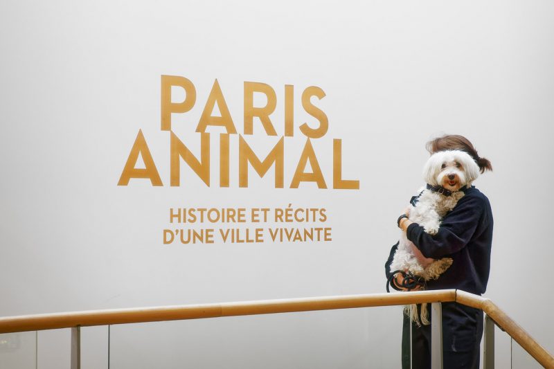 Paris Animal au Pavillon de l'Arsenal - Picto